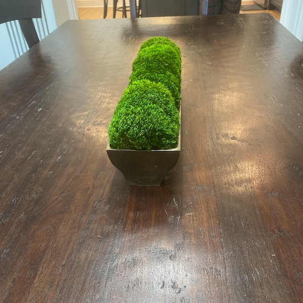 Long Moss Bowl Centerpiece for Dining Table Centerpiece With Preserved ...