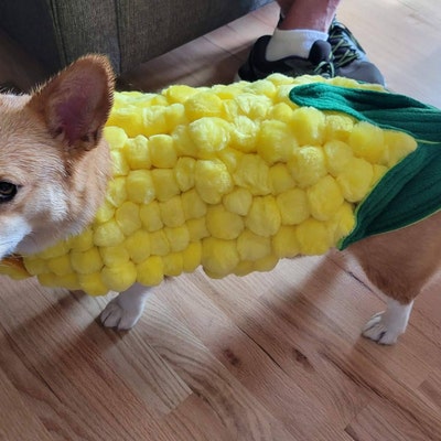 CORN DOGS or Kitty Corn Corn Coat for Cats & Dogs - Etsy