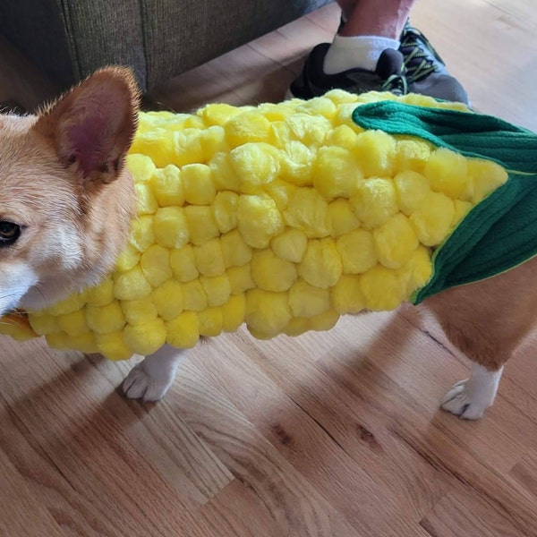 CORN DOGS or Kitty Corn!? Corn Coat for Cats & Dogs - Etsy