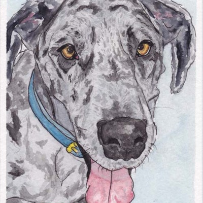 Rococo Era Historical Pet Portrait - Etsy