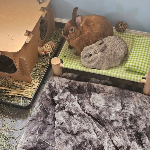 Rabbit Bunny Pet Bed, Wooden Bed With Pillow and Bedsheet Set, Multi ...
