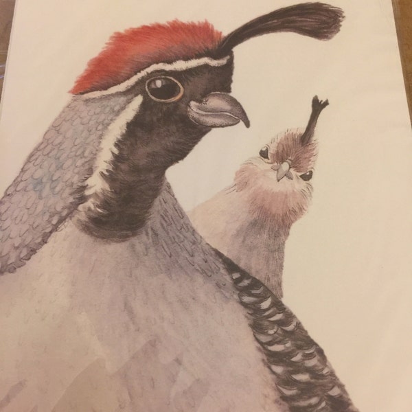 Quail Complexity Art Print, Male and Female Gambel's Quails, Watercolor ...