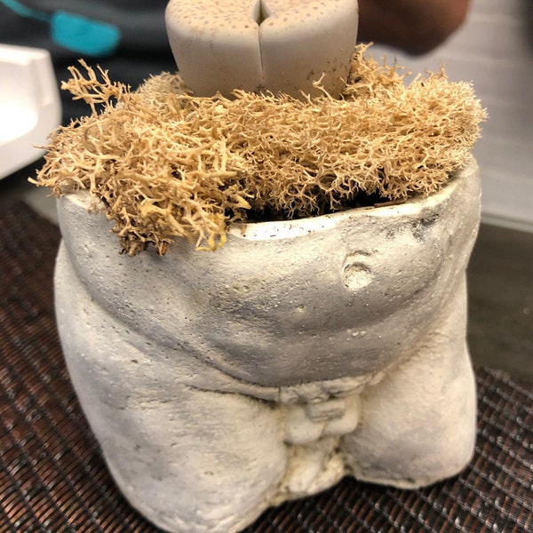 Lower Male Torso Planter - Etsy