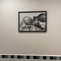 Octopus Dotwork Illustration Print - Etsy UK