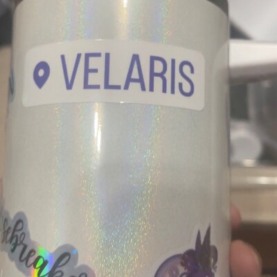 Fourth Wing Sticker Violent Little Thing Xaden Riorson and Violet ...