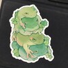 Frog Stack Big Frog Sticker Durable Sticker Laptop Sticker Vinyl Toad ...
