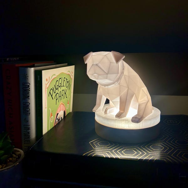 Japanese Soy Sauce Fish Bottle Lamp - LED Light - Free Shipping ...