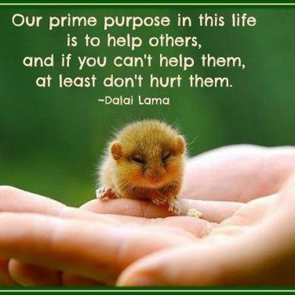 Funny Work Affirmation Jar - Shit I Want to Say at Work but Cant ...