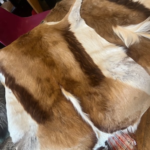 Tricolor Cowhide, Speckled Longhorn Cowhide Rug, Brown and White Hide ...