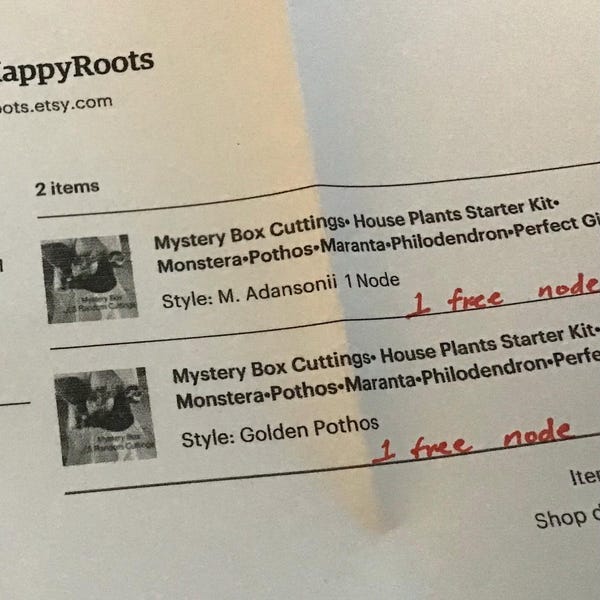 Rare Varigated String of Pearls | String of Hearts | String of Spades ...