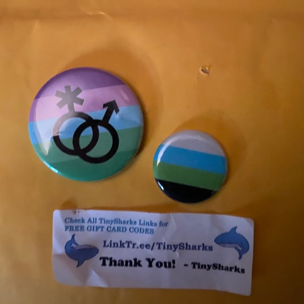 Quoiromantic Pride Flag Pin Round Circle Button ~ 1" Pin 1.5" Pin 2.25 ...
