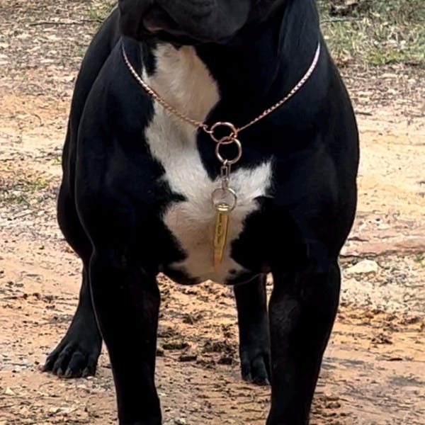 AR-15 Bullet Keychains Custom Engraved Gifts for Him gifts for Her ...