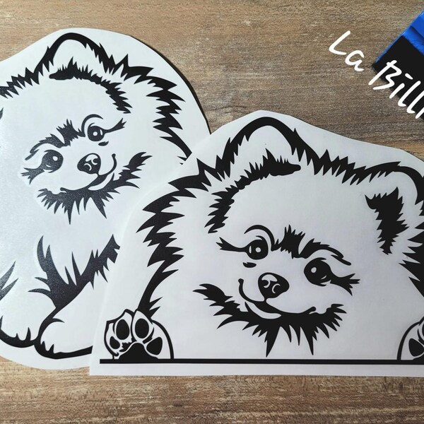 Pomeranian Svg Pomeranian Peeking Dog Paws Cute Pom Pom Mom Commercial ...