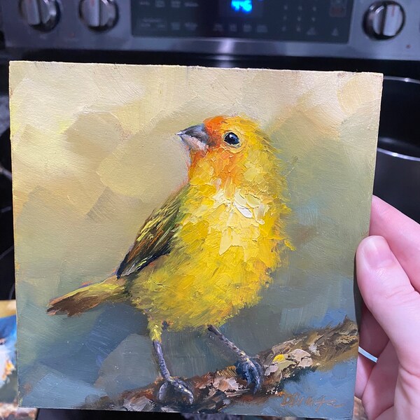 Pink Robin CUSTOM Original Oil Painting by Daiga Dimza Handmade Bird ...