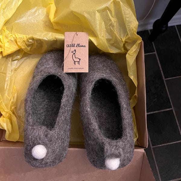 Scandinavian Felt Felted Wool Slippers - Unisex Wool Clogs - Boiled ...