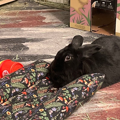 Bunny Snug Bed - Etsy