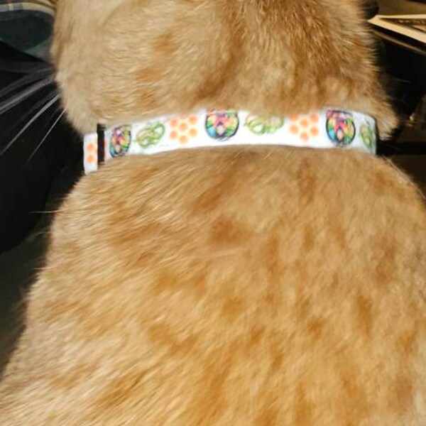 My Chemical Romance Band Dog Collar 2.0 - Etsy