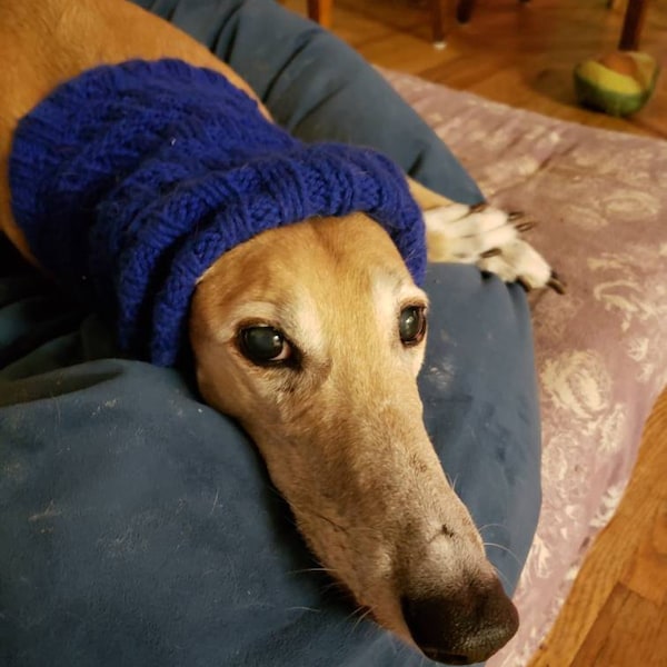 Greyhound Snood 2-TONE Med-lrg Dog Winter. Galgo, Whippet. Made to ...