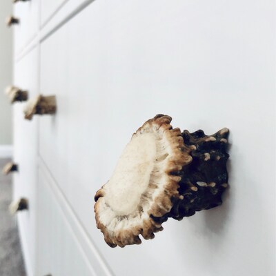NEW Natural Shed Real Deer Antler Knobs / Pulls Cabinet Dresser ...