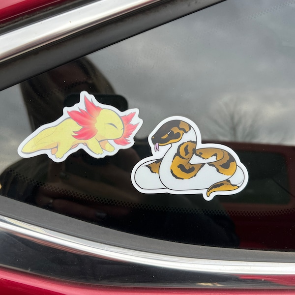 Ball Python Stickers | Popular Ball Python Morphs | Albino Pied | Pied ...