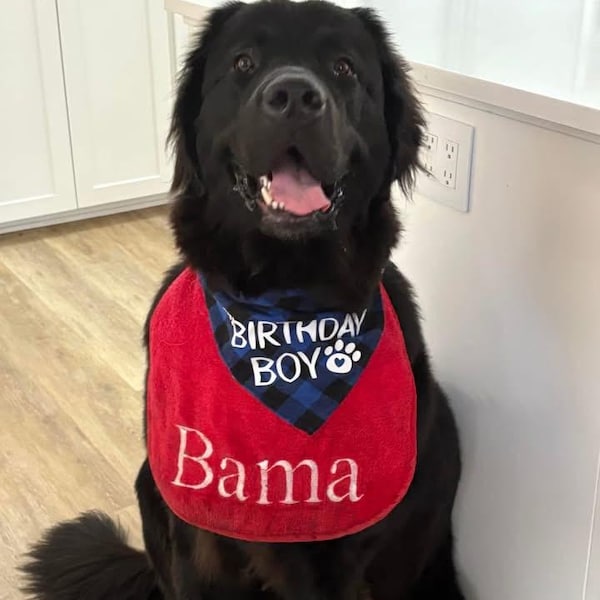 Big Dog Slobber Drool/slobber Bibs 2 Designs - Etsy