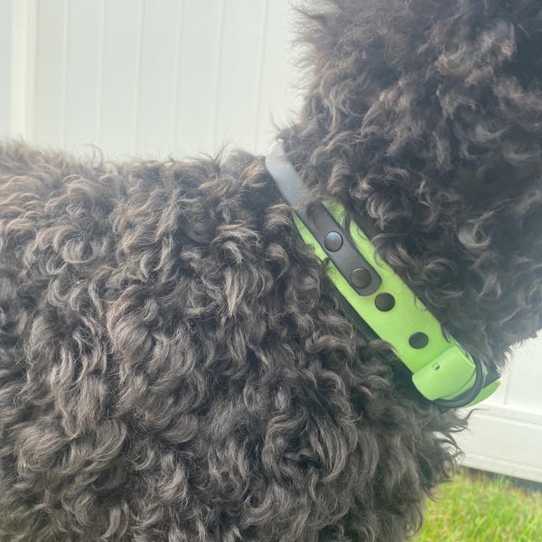 The Vera Bling Biothane® Collar | Beta Biothane® Collar | Gemstone ...