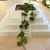 3D Printed Magnetic Air Planter - Etsy