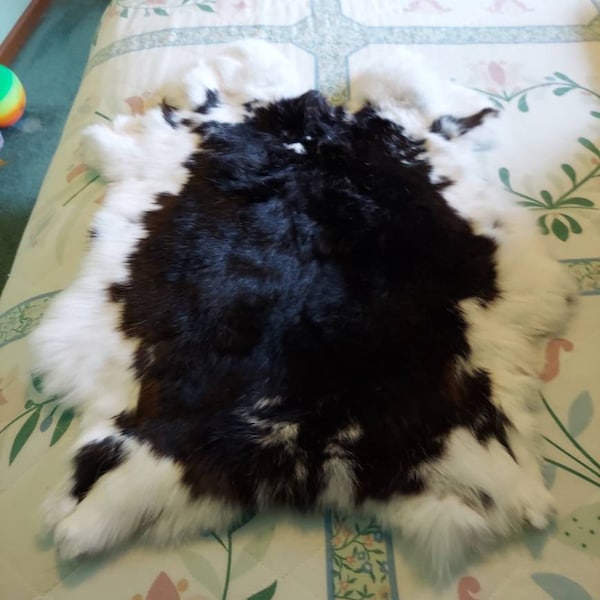 Lot of 4 Assorted Rabbit Hides- as Shown- Natural Rabbit Fur- No ...