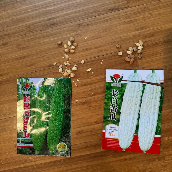 5gram Sweet Yu Choy Sum Seeds, Chinese Flowering Cabbage Seeds, Choi ...