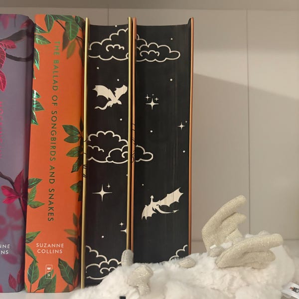 Fearless by Lauren Roberts Hardback With Sprayed Edge - Booktok ...