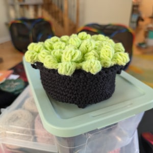 Bubbling Cauldron Crochet Coaster Set digital PDF - Etsy