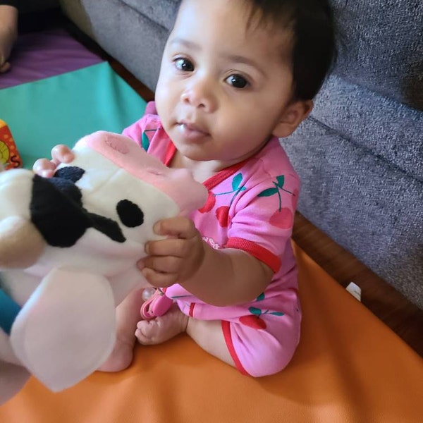 Pigeon drive the Bus, Duck, Bus Driver Trio Hand Puppets/ Story Book ...