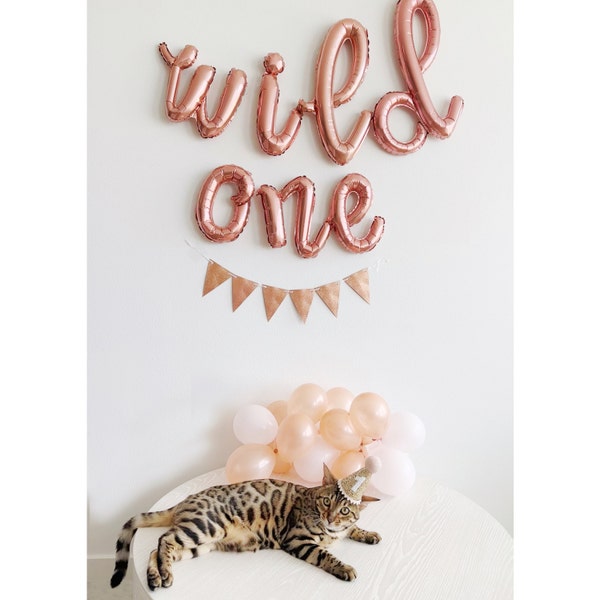 Wild One Balloons | Wild One Baby Shower Decor | Rose Gold Wild One ...
