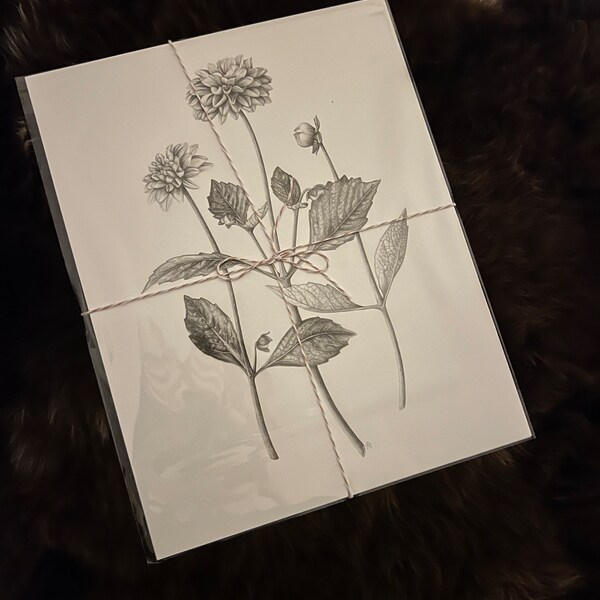 Dahlia Graphite Art Print | Botanical Illustration, Floral Wall Decor ...