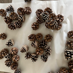 Extra Large Smooth Rocks 10, Beach Stones, Nature Crafts, Rocks for ...