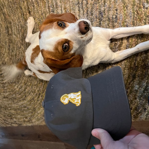 Squirrel Style: Oak City Embroidered Trucker Cap, Adjustable Acorn ...