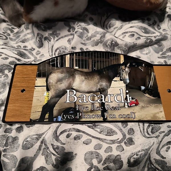 Paw Print Connect With Us! QR Code Sign / Business Social Media Sign ...