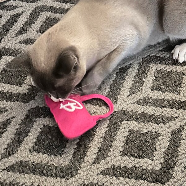 Pac-man - Video Game Felt Cat Toy, Filled With Organic Catnip ...