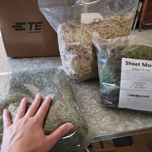 Phase 22 Cryopak 4 Pack | Etsy