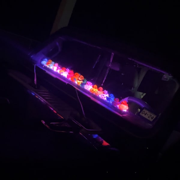 Duckwood LED , the Original LED Duck Bar - Etsy