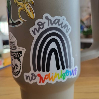 Monstera Adansonii Sticker Swiss Cheese Plant Sticker Clear - Etsy