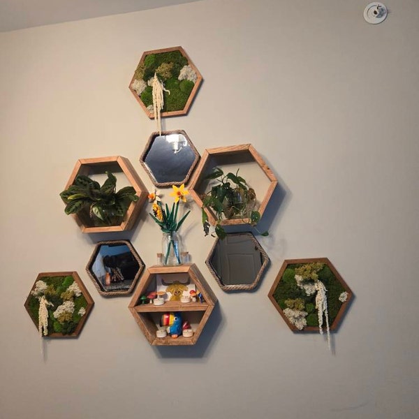 Moos Wandkunst Bienenwabe | Vier Größen, 5 x 6 Zoll, 8 x 9 Zoll, 10 x ...