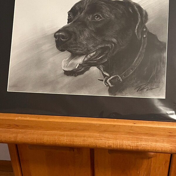 Pet Portrait Custom Charcoal | Pet Loss Gift | Dog Portrait Charcoal ...