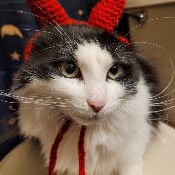Devil Hat for Cats - Etsy