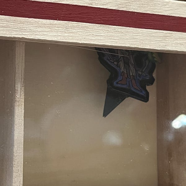 BIG 4.75" Orthocerous Fossil - EXACT PIECE - Nautiulus - Polished ...