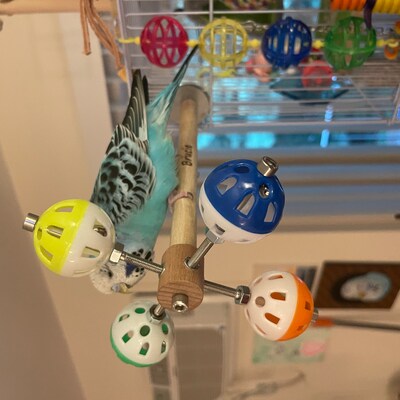 Perch Toy With Rotating Balls for Budgies Budgerigars - Etsy