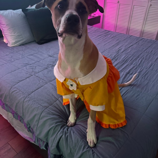 Princess Daisy Pet Costume From Super Mario Brothers XS-XL - Etsy
