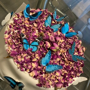 Cakeshop 12 X PRE-CUT Light Blue Butterfly Edible Cake Toppers BT067 - Etsy