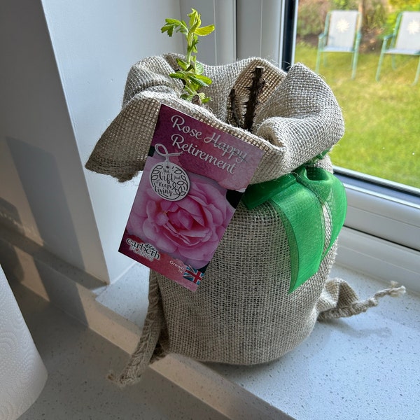Happy Retirement Rose Bush Gift Wrapped - Help A Colleague or Friend ...