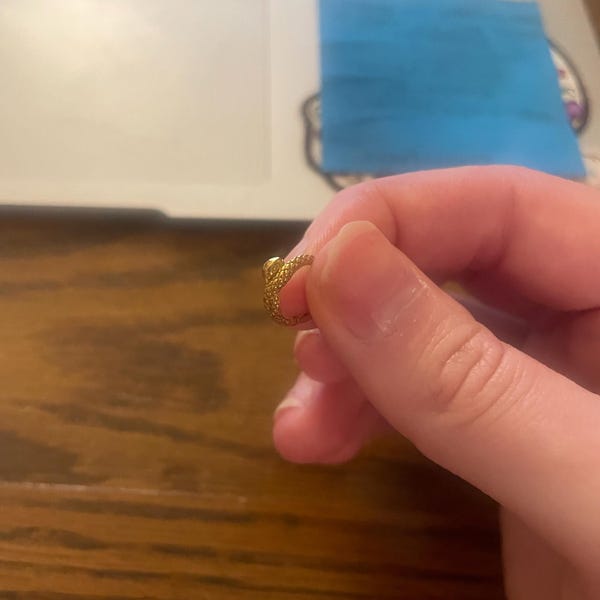 Snake Hinged Segment Hoop Earring, 16g Snake Cartilage Hoop, 16g Snake ...